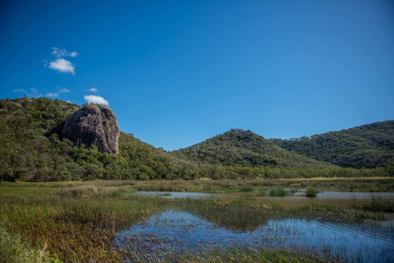 Town Common Free Photo Walk – Adrian Matthiassen – Photographer